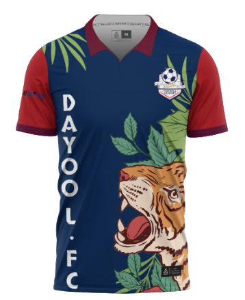 Homepage | Official Site | Dayool Football Club & Academy